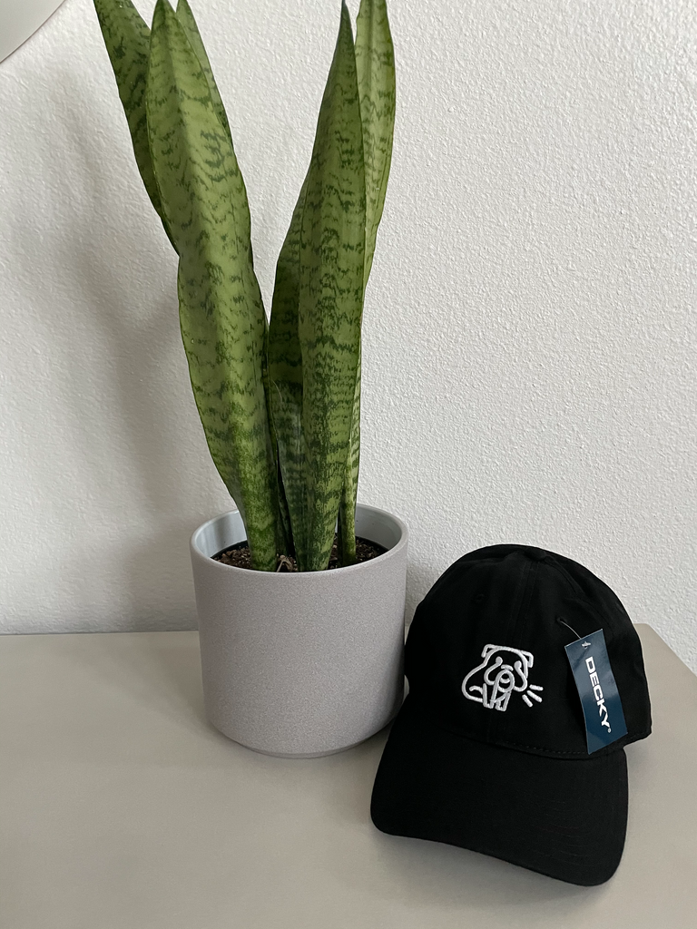 Premium Dog & Cat Food, Pet Supplies & Grooming in Rancho Cucamonga ...